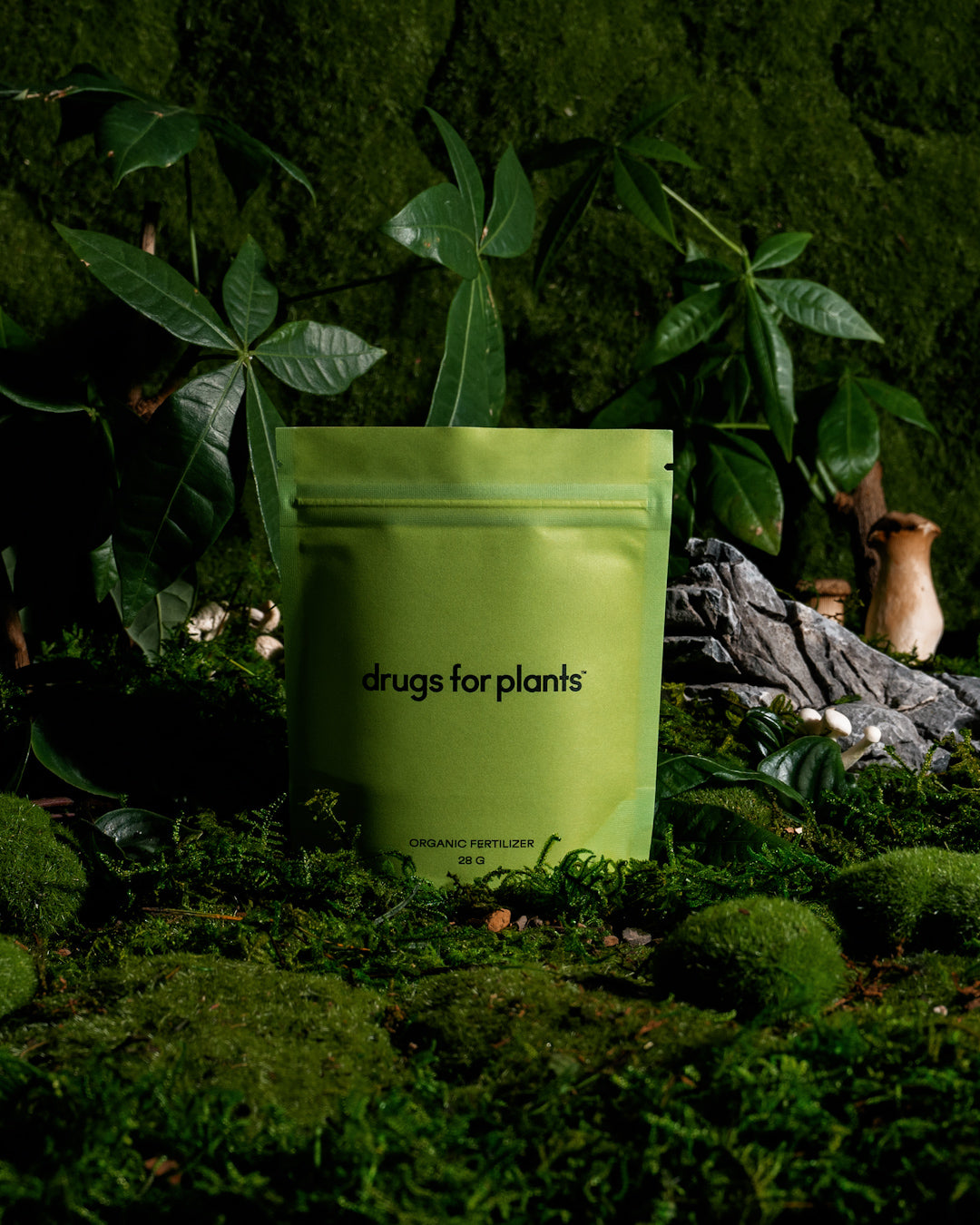 About – Drugs For Plants