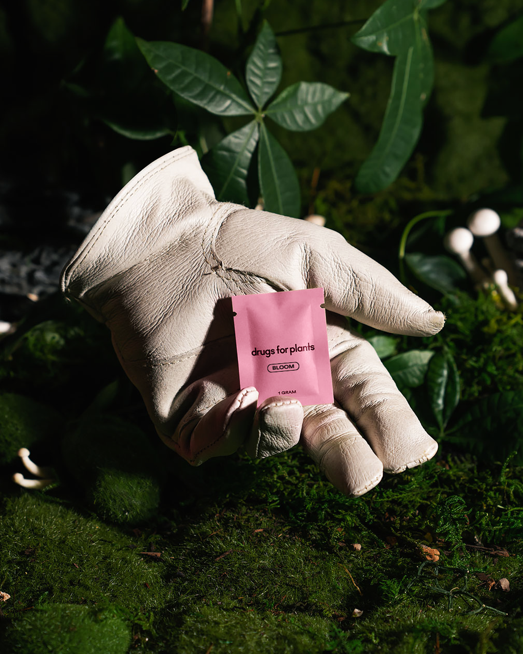Drugs for Plants – Drugs For Plants