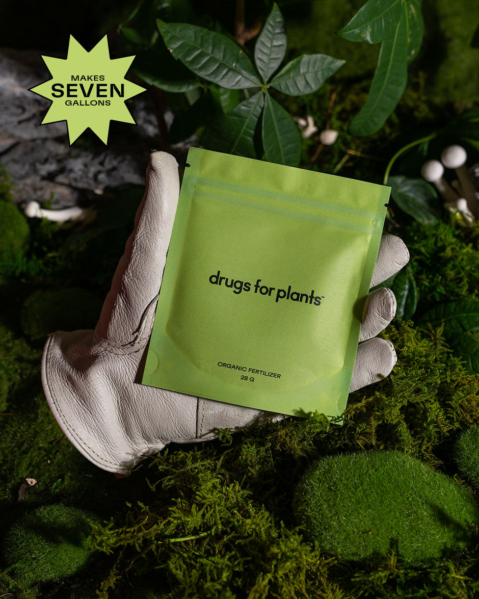 Drugs for Plants – Drugs For Plants